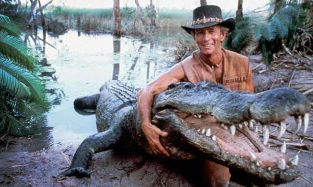 ABC1 Wants Croc Wrestlers. Seriously. - Pedestrian TV