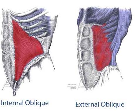 Got Weak Obliques? Smash Your Gut Into Shape With These 4 Moves ...