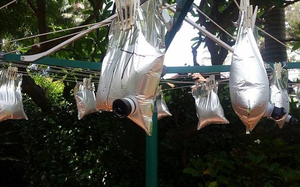 Prep Yr Clothesline For The 10 Greatest Goon Sacks, As Picked By An ...